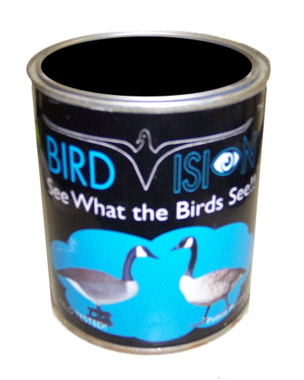 Bird Vision Decoy Paint - All Colors – Reel Wings