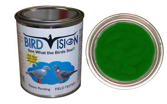 Bird Vision Green Decoy Paint 1 pint (No Iridescent) – Reel Wings