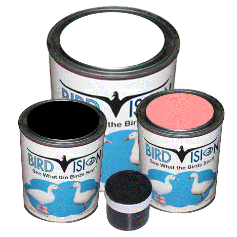 Bird Vision Snow Goose Decoy Paint Kit – Reel Wings